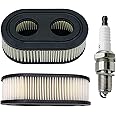 Amazon.com : 593260 Air Filter and Spark Plug for Toro Recycler 22 inch ...