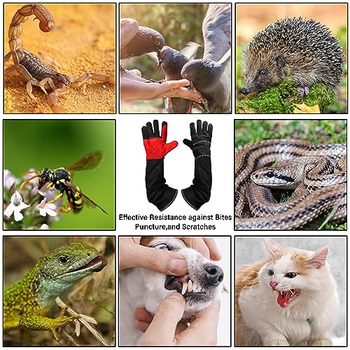 Jossens Animal Handling Gloves,Cat Bite Proof Gloves,Multipurpose Pet ...