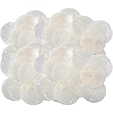 Amazon.com: KFZDCG 120 Pcs Round Capiz Shells, 2 Inches Round Natural ...