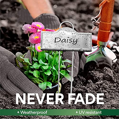 Metal Plant Labels for Garden Outdoor | Plant Markers Waterproof Tags ...