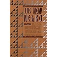 Amazon.com: The New Negro : Voices of the Harlem Renaissance ...