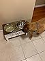 Amazon.com: Personalized Raised Dog Bowl Stand with Internal Storage ...