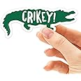 Amazon.com: Crikey Sticker, Cute Crocodile Stickers for Hydroflask ...