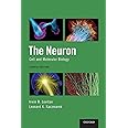 The Neuron: Cell and Molecular Biology: 9780199773893: Medicine ...