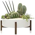 Amazon.com: kimisty 10 inch Large Round Succulent Pot with Wood Stand ...