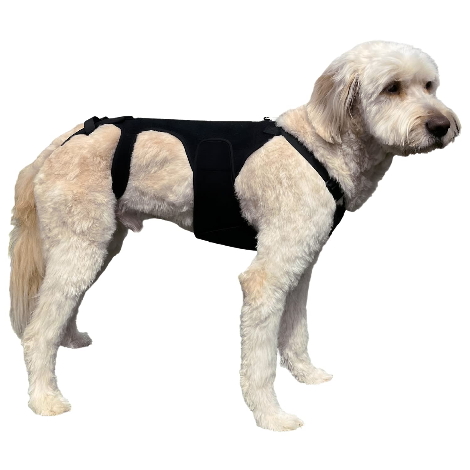 Labra Dog Canine K9 Back Brace - IVDD Spine Pain & Spinal Injury ...