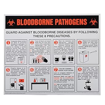 Bloodborne Pathogens Information Wall Chart: Amazon.com: Industrial ...