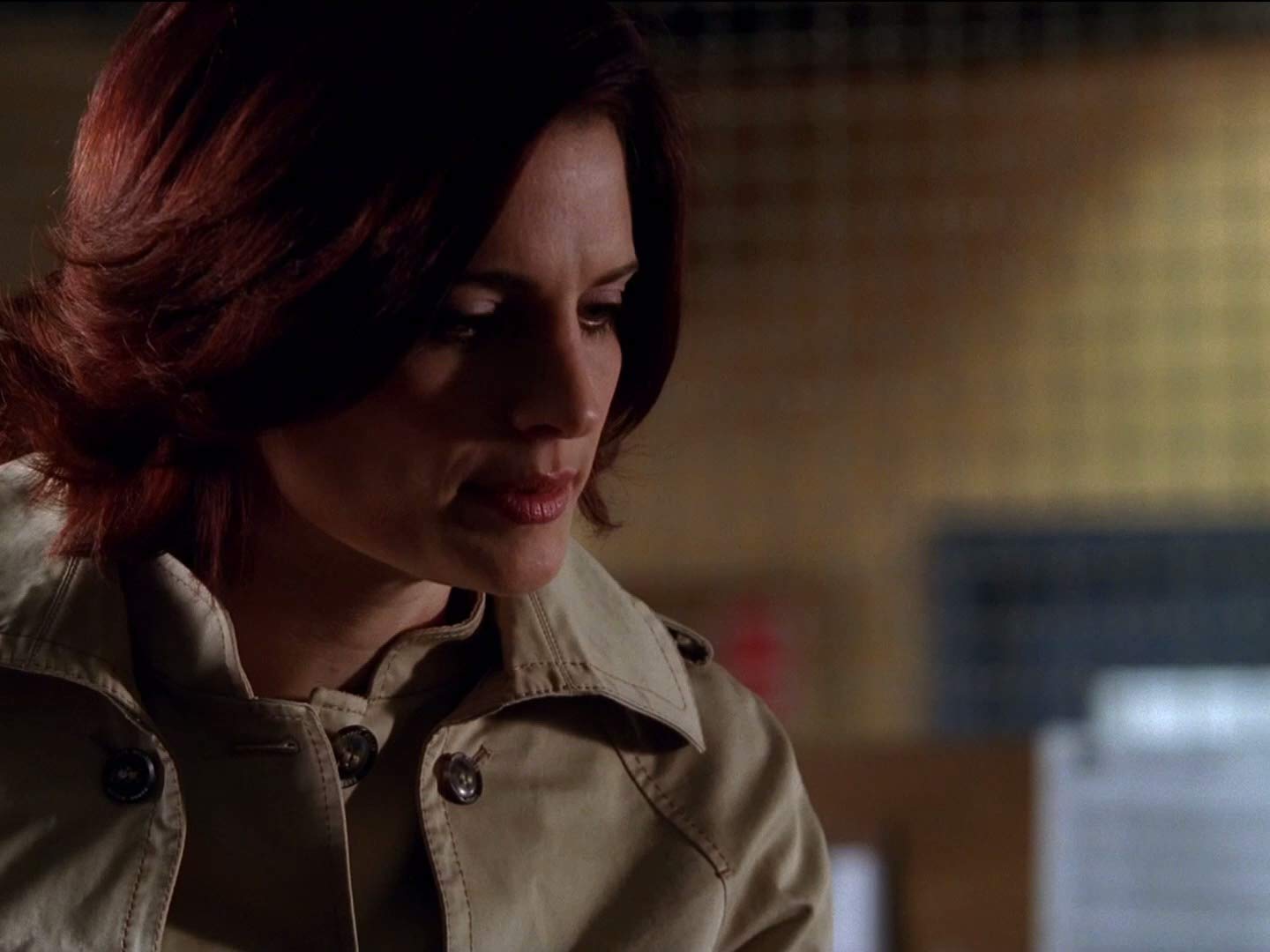 Watch Castle - Season 1 | Prime Video