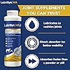 Lubrisyn Hyaluronic Acid + MSM Joints Supplement, 16oz: Natural Pure HA ...