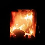 Bio Bean Coffee Logs Premium Eco Briquette 16 logs: Amazon.co.uk ...