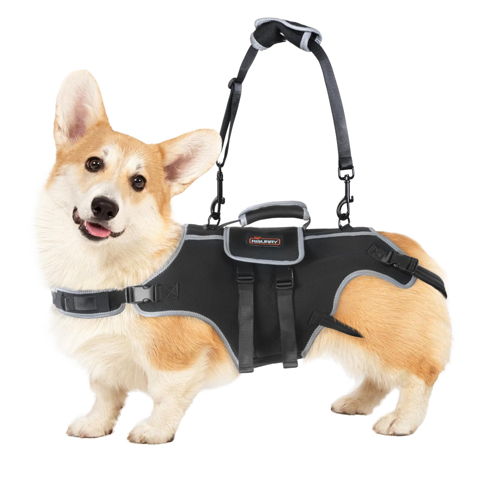 Dog Lift Harness, Dog Back Brace, Full Body Dog with Handle ...
