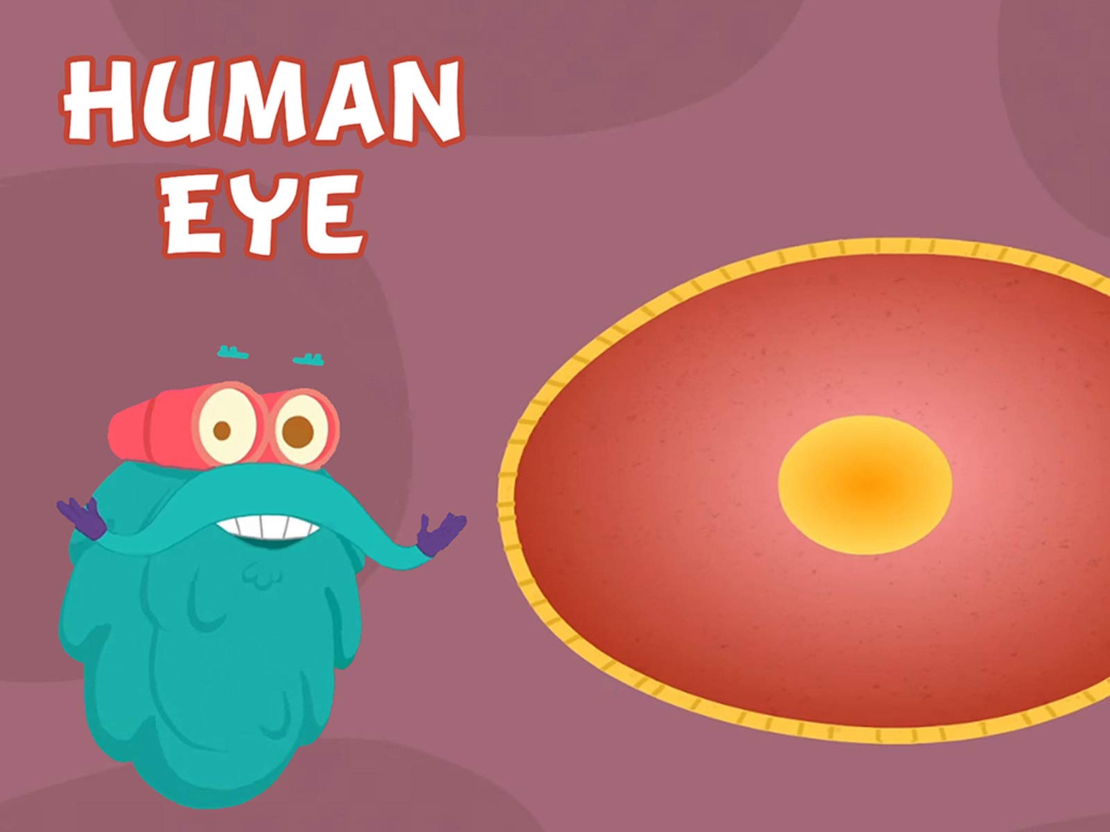 Watch The Dr. Binocs Show | Prime Video