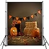 Lelinta 5X7ft Halloween Theme Backdrop Photography Background Halloween ...