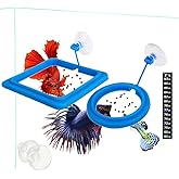 Amazon.com : NEWCOMDIGI Fish Feeding Ring, Fish Safe Floating Food ...