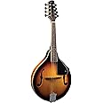 Amazon.com: Savannah SA-100 A-Model Mandolin, Sunburst : Musical ...