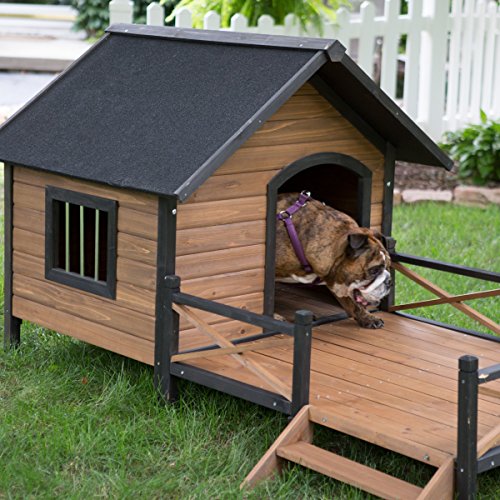 Dog Houses With Deck ~ DCEDAFAP