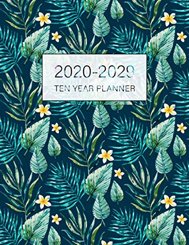 Amazon.com: Ten Year Planner 2020-2029: 120 Month Calendar | 10 Year ...