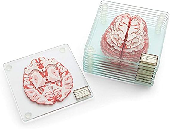 62 Best Gifts For Med Students & Future Doctors [2022 IDEAS]