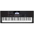 Casio 61-Key Portable Keyboard (CTX700) : Amazon.ca: Musical ...