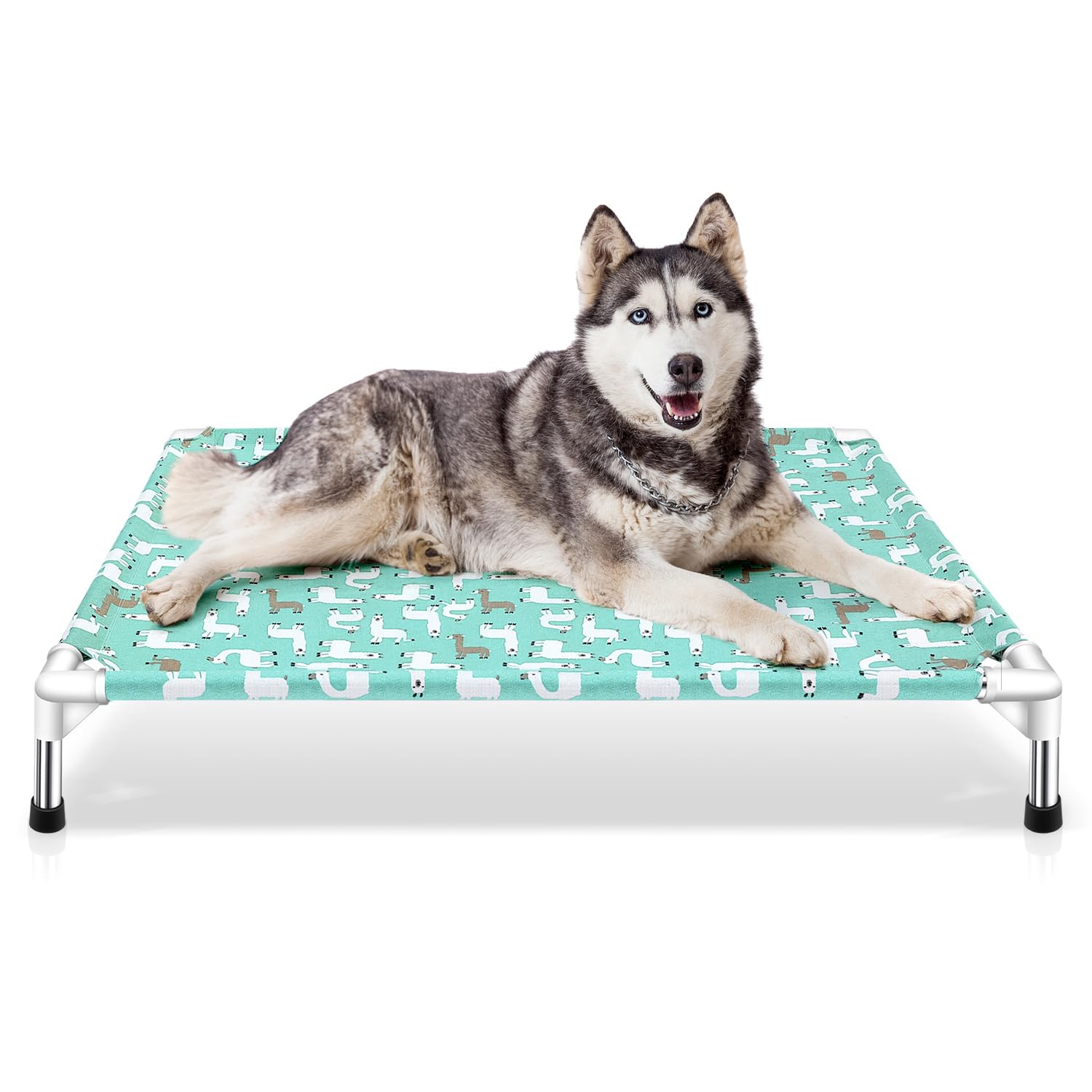 Elevated Dog Bed Pet cot for Large Dogs, Indoor and Outdoor Use for ...