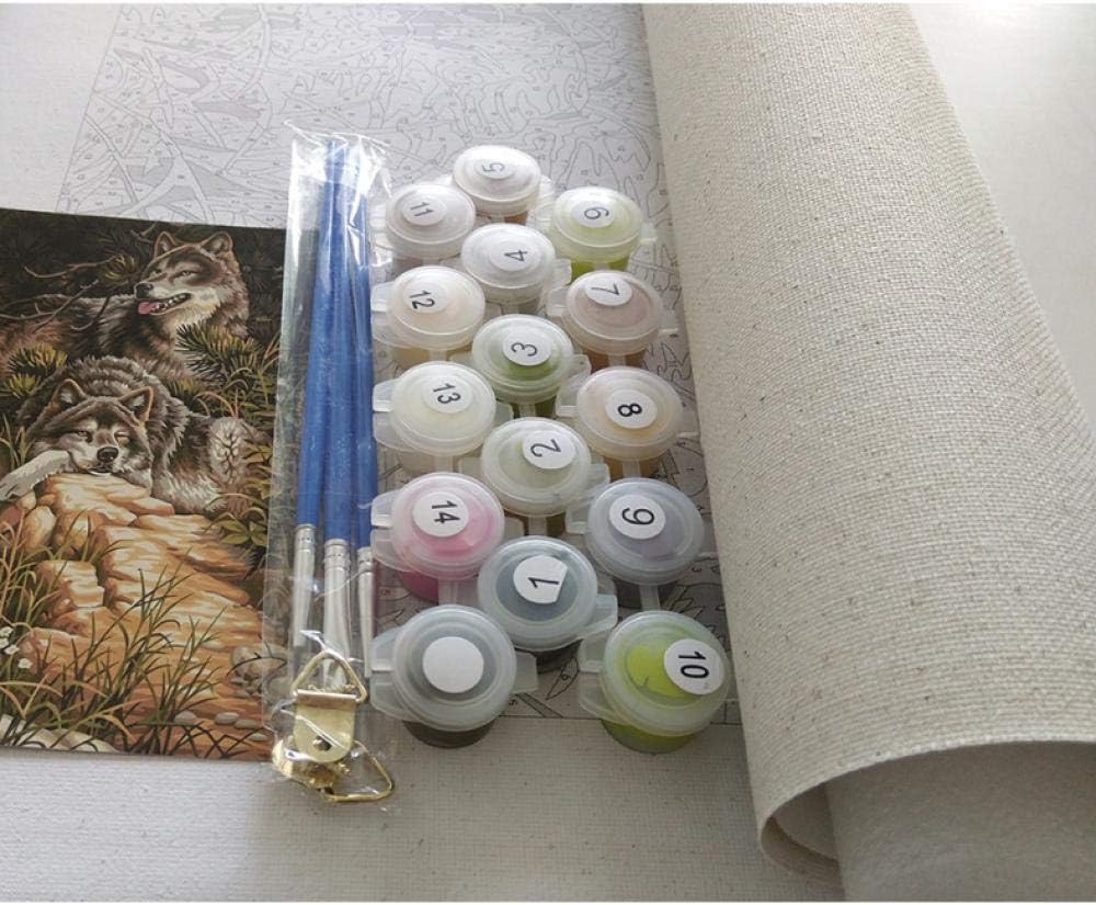 Kit per il fai da te JRfurniture DIY Pittura Dipingere con I Numeri ...