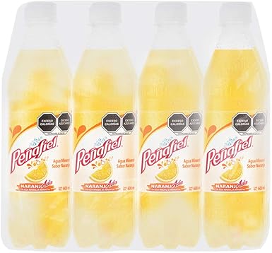 PEÑAFIEL, Naranjada 600 ml, Botella Pet, 12 piezas: Amazon.com.mx: Alimentos y Bebidas
