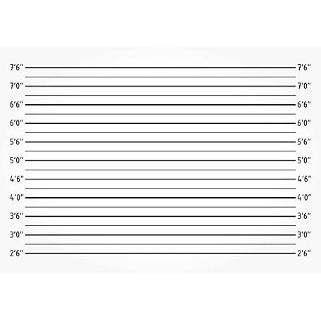 Mua BELECO 7x5ft Fabric Mugshot Backdrop Police Lineup Height Charts ...
