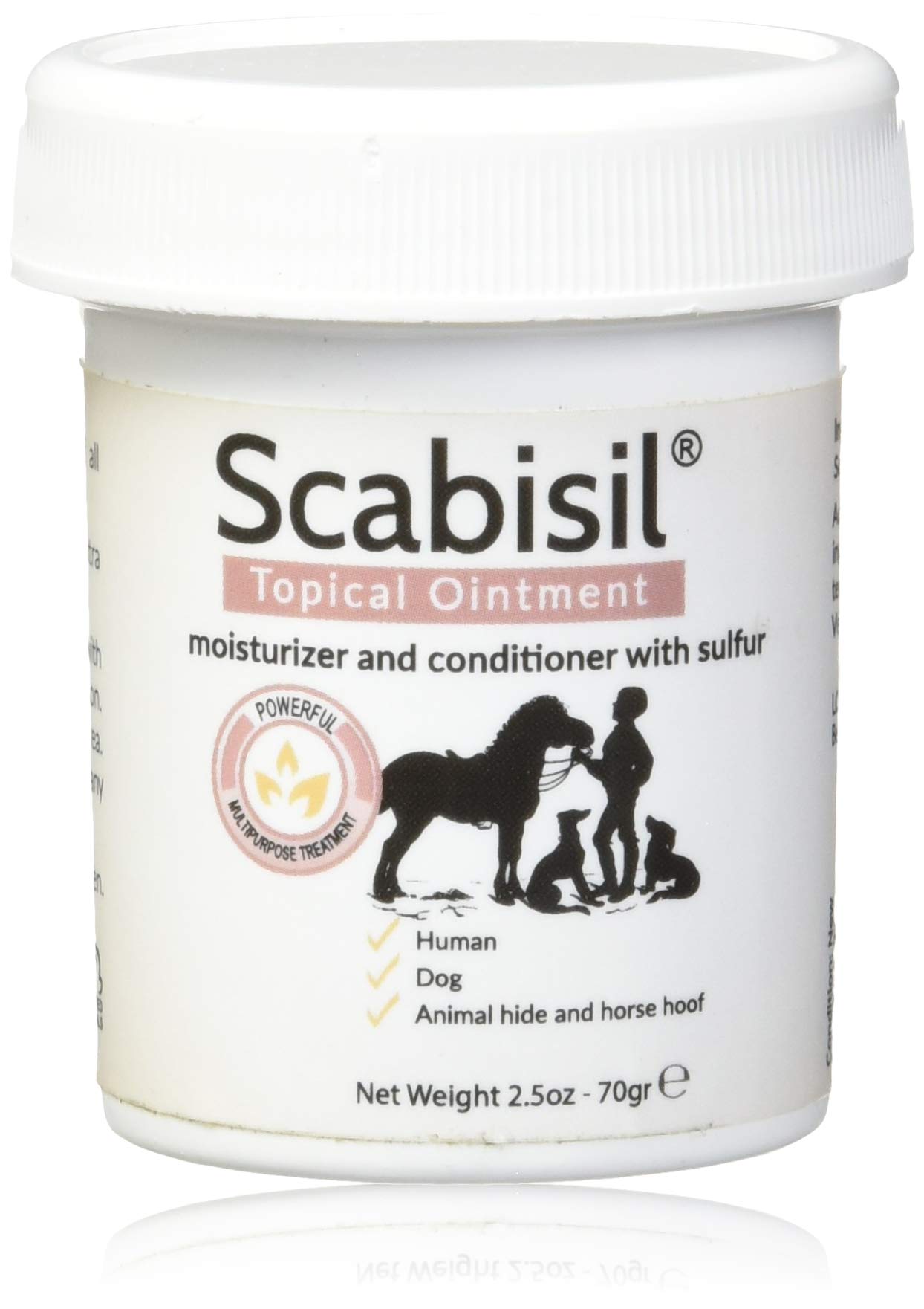 Mua Scabisil 10% Sulfur Ointment - Natural Relief from Skin Mites ...