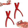 Amazon.com: Crawfish Peeler - Crawfish Shucker, Crawfish Sheller Tool ...