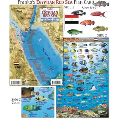 Egyptian Red Sea Dive Map & Reef Creatures Guide - Laminated Fish Card ...