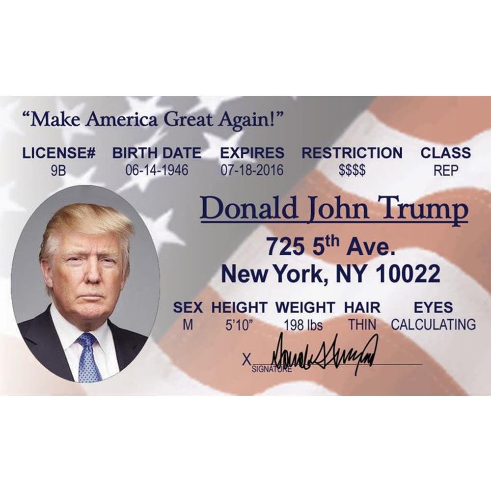 Amazon.com: Signs 4 Fun NDTID2 Donald Trump's Driver's License: Home ...