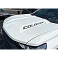 Amazon.com: EmblemsPlus 2023 2024 Chevy Colorado Hood Lettering Decals ...