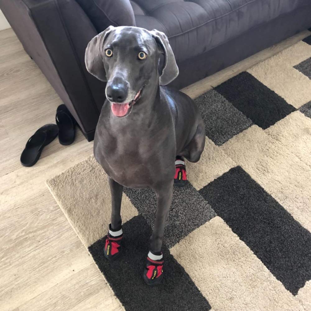 QUMY Dog Shoes for Medium Large Breed Dogs Boots Rugged Non Slip with ...