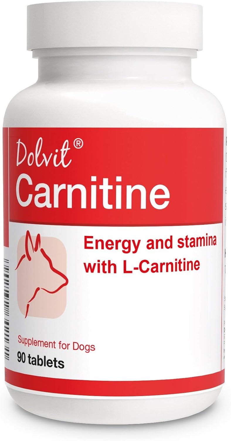 Dolvit Carnitine – Energy Stamina Weight Management well selected B ...