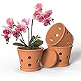 Amazon.com: Terracotta Orchid Pots, 6 Inch Orchid Pot with Holes and ...