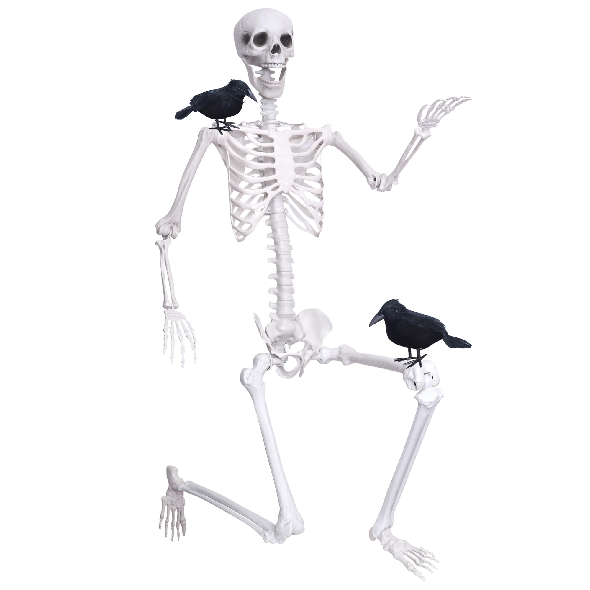 Wocst 6Ft Life Size Skeleton Posable Skeleton with Movable Joints ...