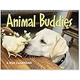 Amazon.com: 2025 Animal Buddies Wall Calendar, 12-Inch x 9-Inch Size ...