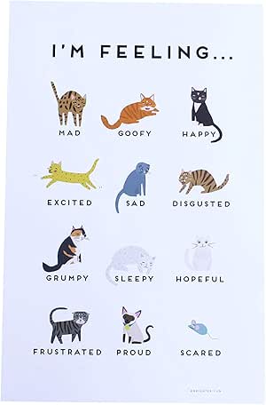 Amazon.com: Feelings Chart: Cats Children's Classroom Bedroom Nursery ...