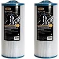Amazon.com: Jacuzzi 6000-383AJ Filter, 60 Sq Ft, J-300 Series 2002 ...