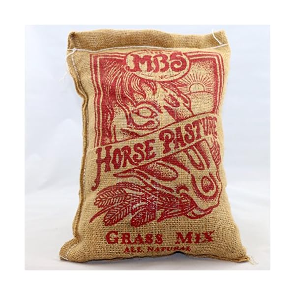 Horse Pasture Grass Seed Mix in Vintage Burlap 10 lb Bag Plants 1 Acre ...