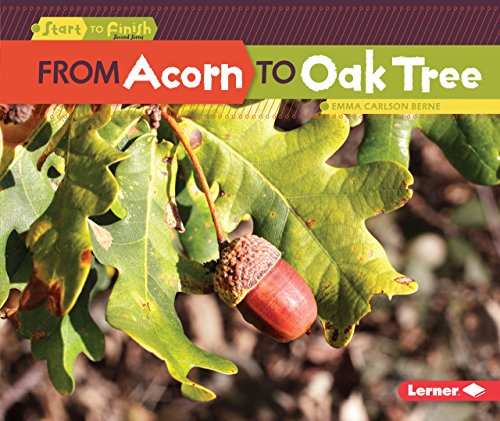 The Very Best Collection of Acorn Books for Preschoolers