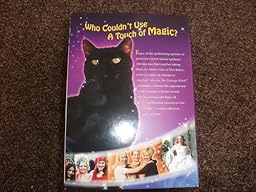 Sabrina The Teenage Witch: Complete Box Set [DVD]: Amazon.co.uk ...