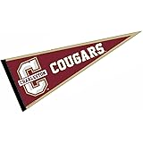 Amazon.com : MIT Pennant Full Size Felt : Sports & Outdoors
