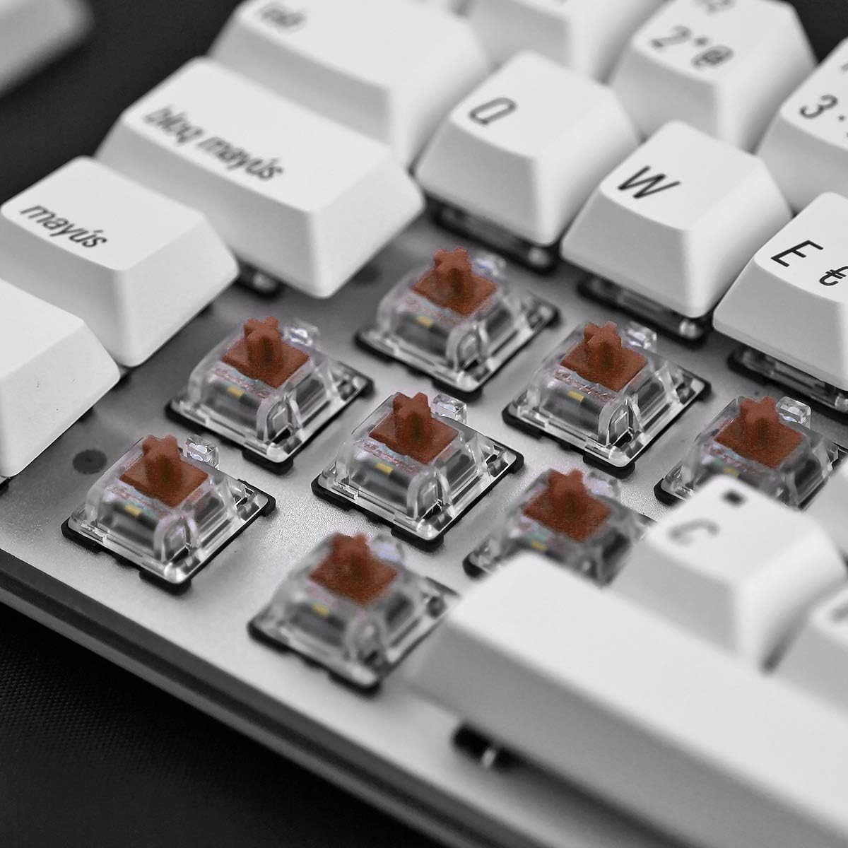 Qisan Wired Mechanical Gaming Keyboard PBT Keycaps 69 Keys Gateron ...