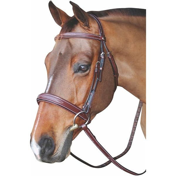 Fancy Raised Reins Henri De Rivel Pro Fancy Raised Bridle Set - Padded ...