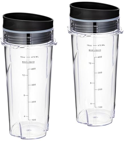 Ninja Personal Blender 700-Watt 16-Ounce, 2024 Review