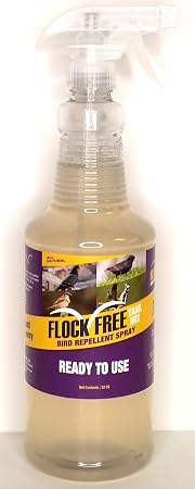 Amazon.com : Flock Free Bird Repellent Ready Spray, Ready to Use Bird ...