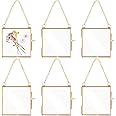 Amazon.com - 6pcs Glass Frames for Pressed Flowers Gold Mini Glass ...