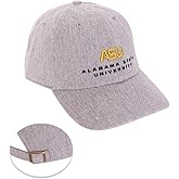 Amazon.com: Desert Cactus Alabama State University Baseball Hat Hornets ...