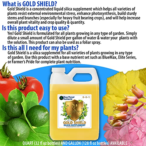 Gold Shield Silica Supplement (32 oz) Quart | Concentrated Formula for ...